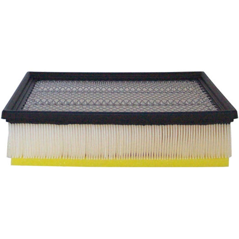 Diamond Advantage DA2251117 Air Filter | XDP