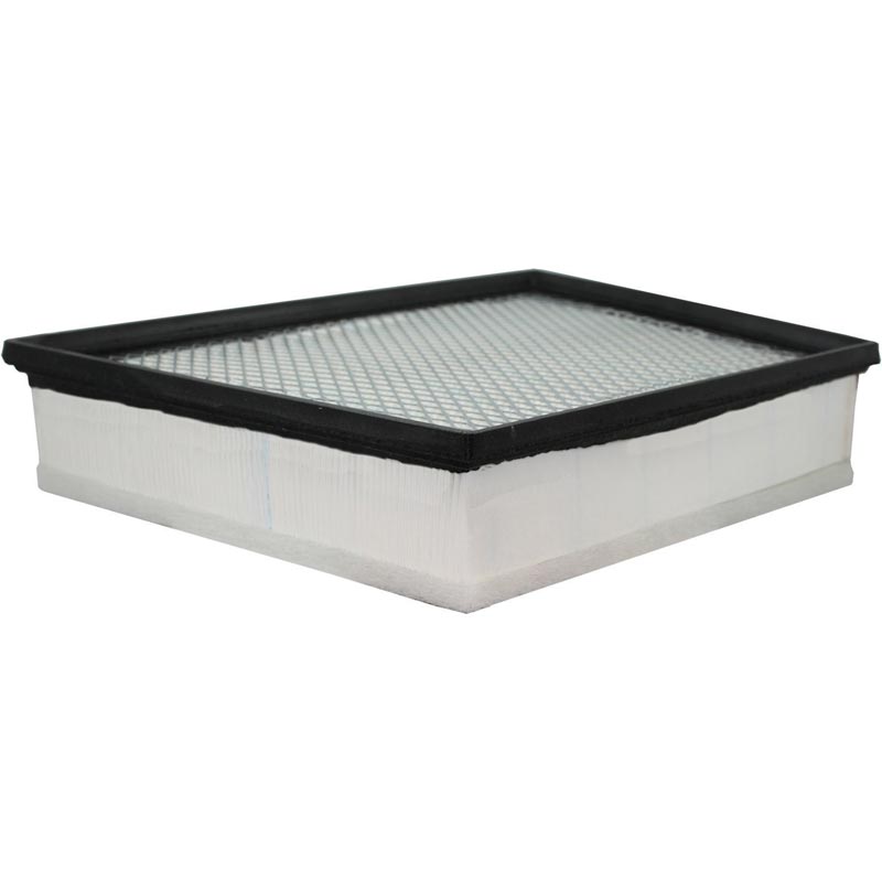 Diamond Advantage DA2251129 Air Filter | XDP