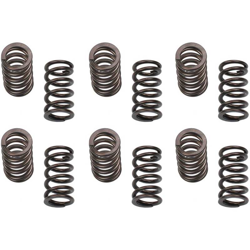 Industrial Injection 24G801 150LB Valve Springs | XDP