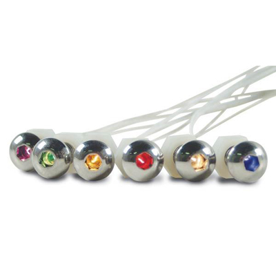 DEI Lite N Boltz Accent Lighting | XDP