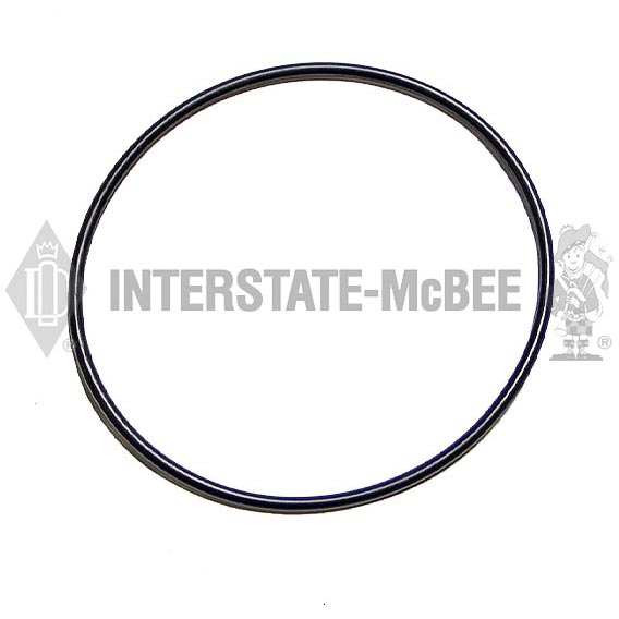 Interstate-McBee M-1819099C1 Water Pump Seal Ring | XDP