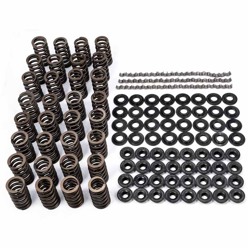 PPE Valve Spring Kit 110090050 | XDP