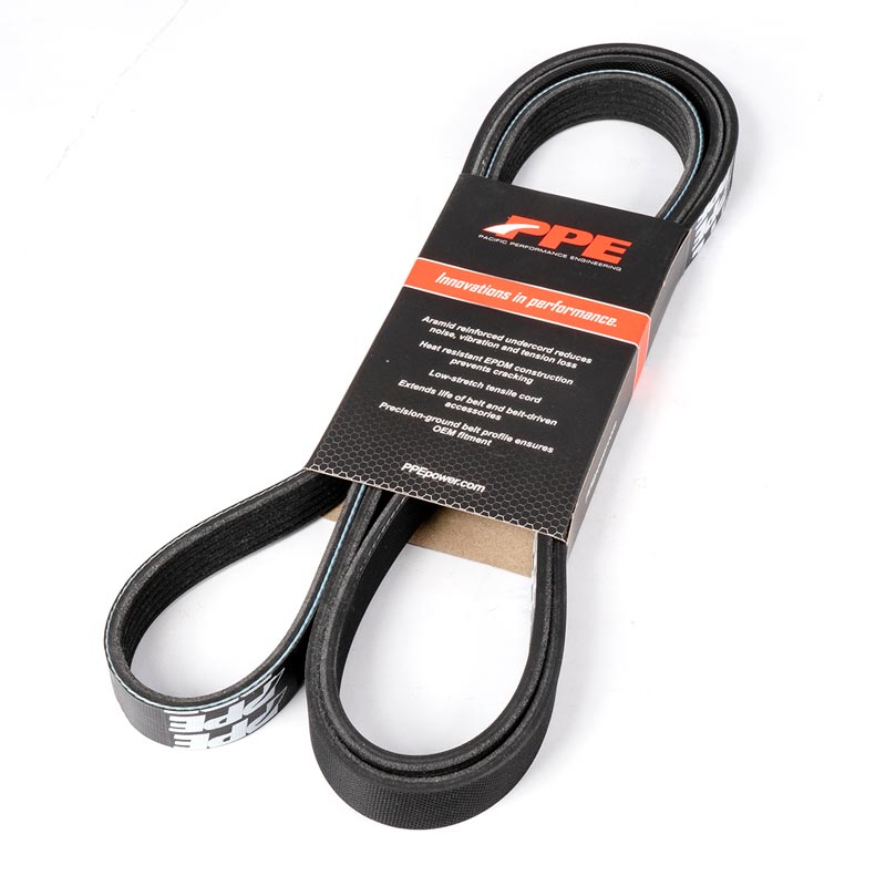 PPE 113061369 HD Serpentine Belt - Main Drive | XDP