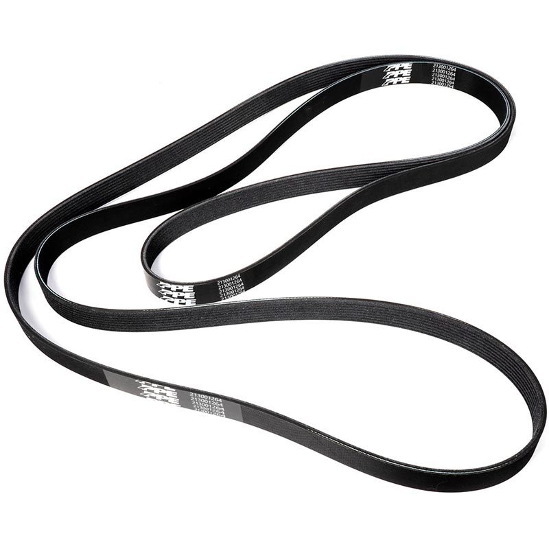 PPE 213001264 Serpentine Belt - Main Drive | XDP