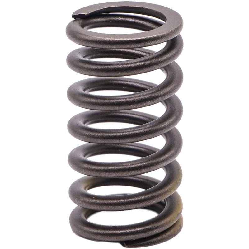 SBI Valve Spring 160-1716 | XDP